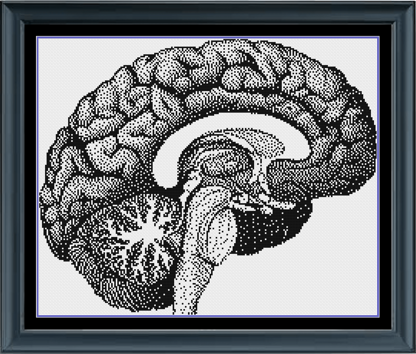 Brain Counted Cross Stitch Pattern | Anatomy Cross Stitch | Monochrome ...